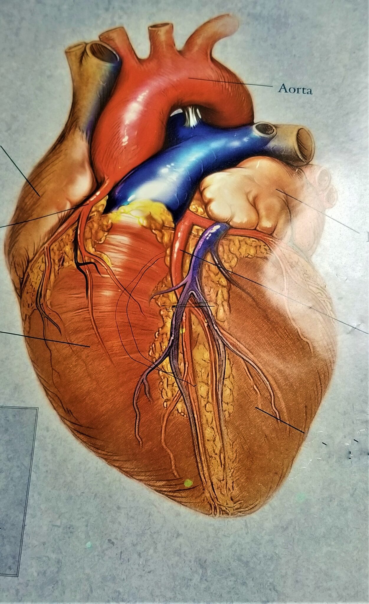 Resources - Smart Reactors