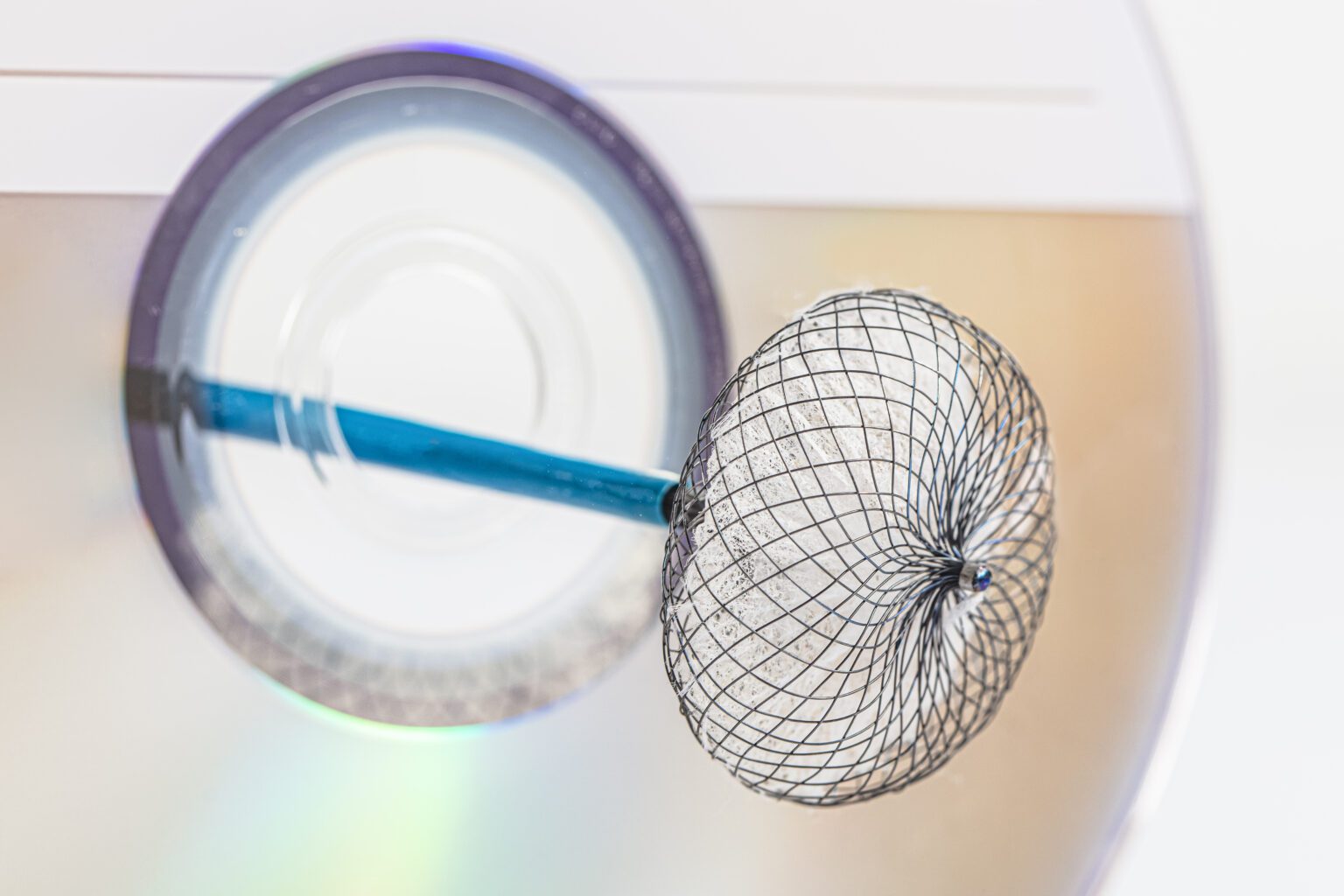 Optimizing Intrasaccular Devices: The Role of Advanced Surface Coatings ...