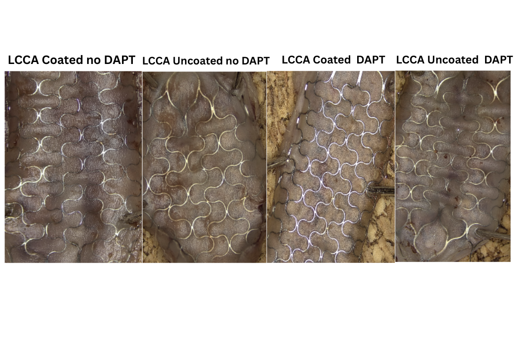 Endotheliazation - Smart Reactors